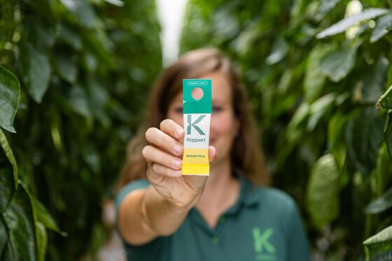 A year of impact for the Koppert Foundation | Koppert Global