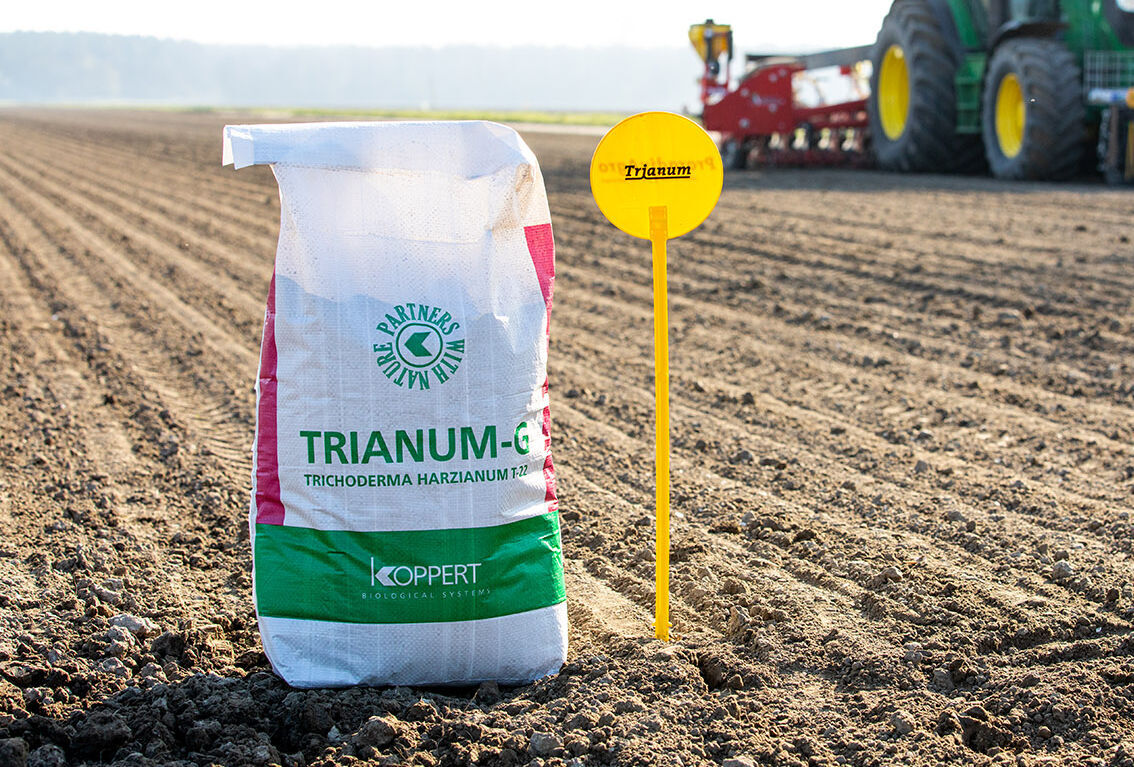 Trianum-G | Prevent and Control Soil Borne Diseases | Trichoderma ...