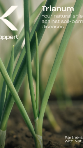 Trianum: Your natural shield against soil-borne diseases | Koppert Global