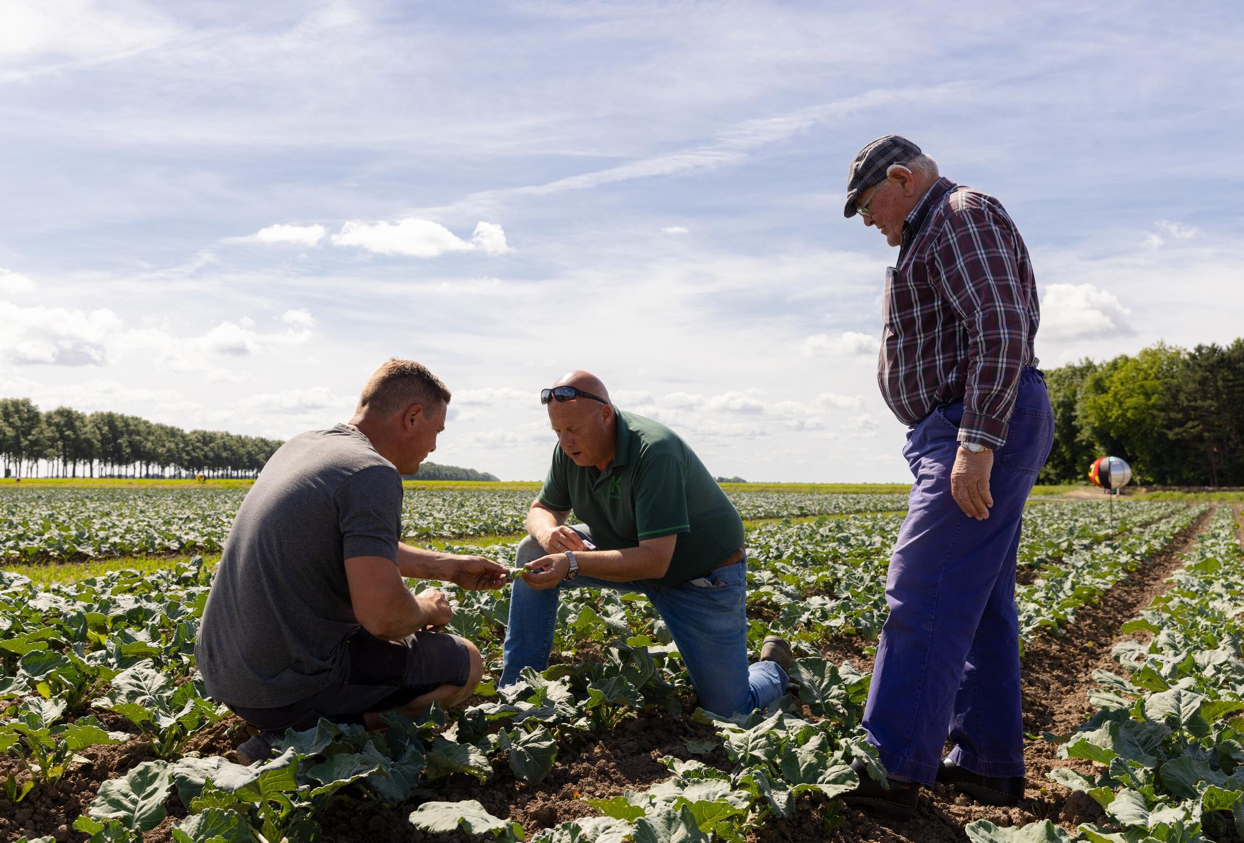 Customer Experiences - Biological Crop Protection and Pollination