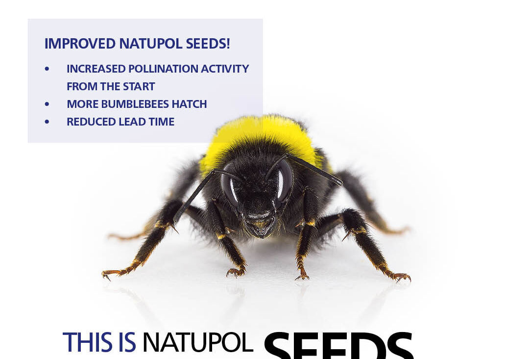 Natupol Seeds – more pollinators on arrival and reduced lead time ...