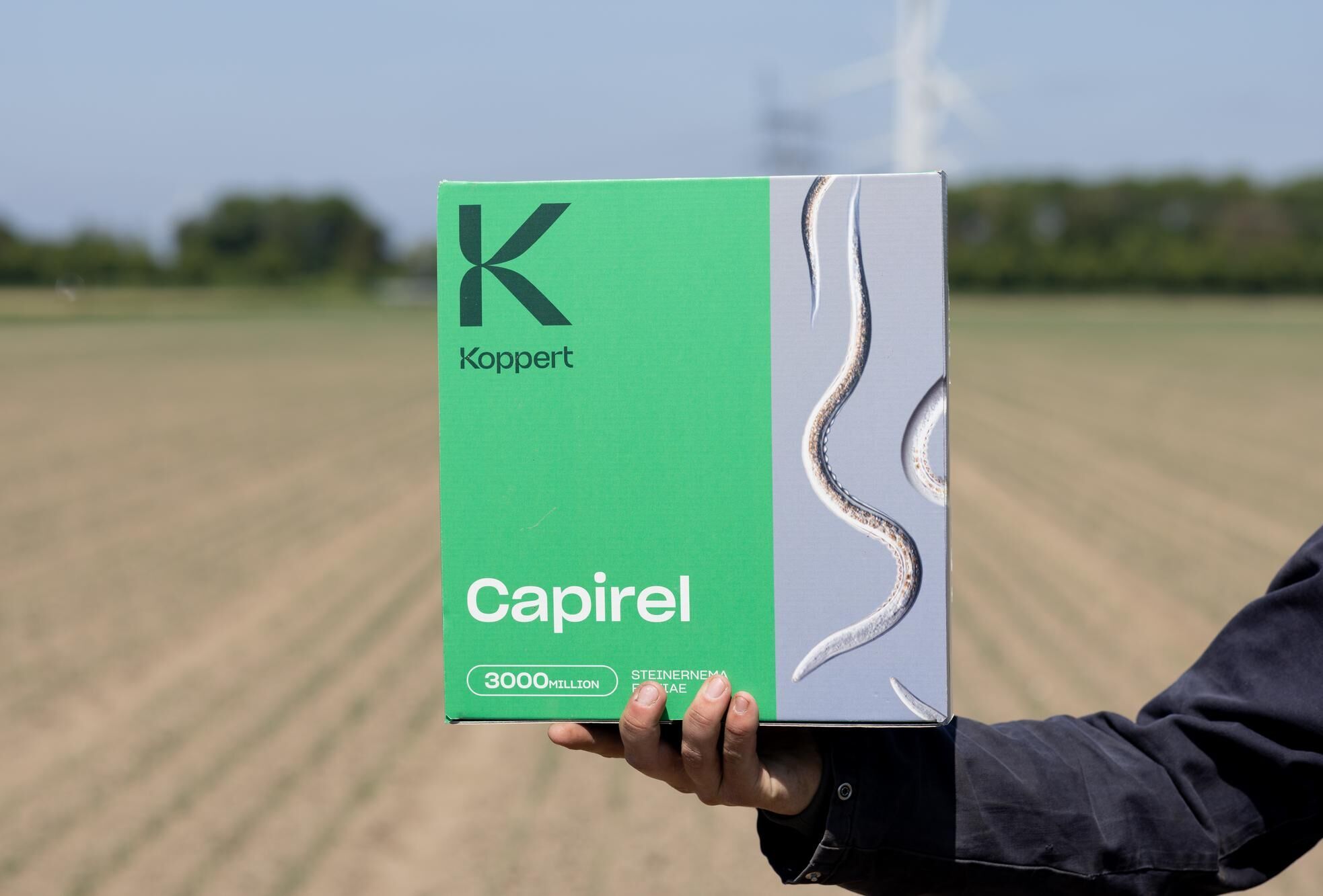 Beneficial nematodes for bean seed fly control | Koppert Global