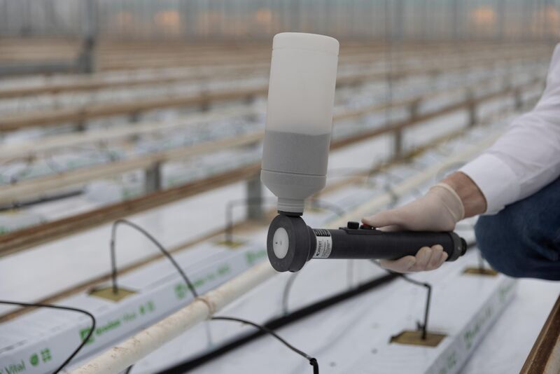 Easy application of Trianum with the Trianum-G tool | Koppert Global