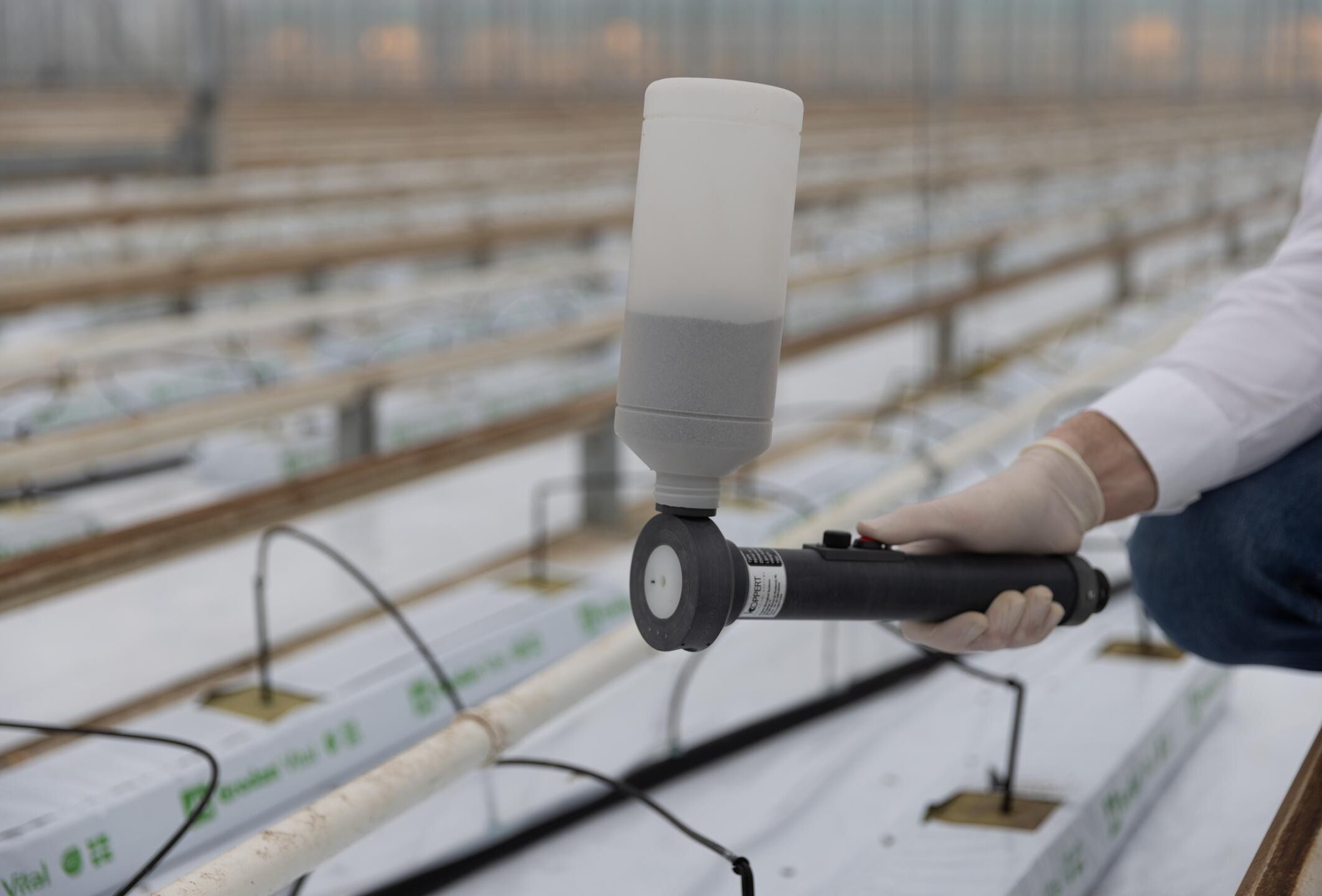 Easy application of Trianum with the Trianum-G tool | Koppert Global