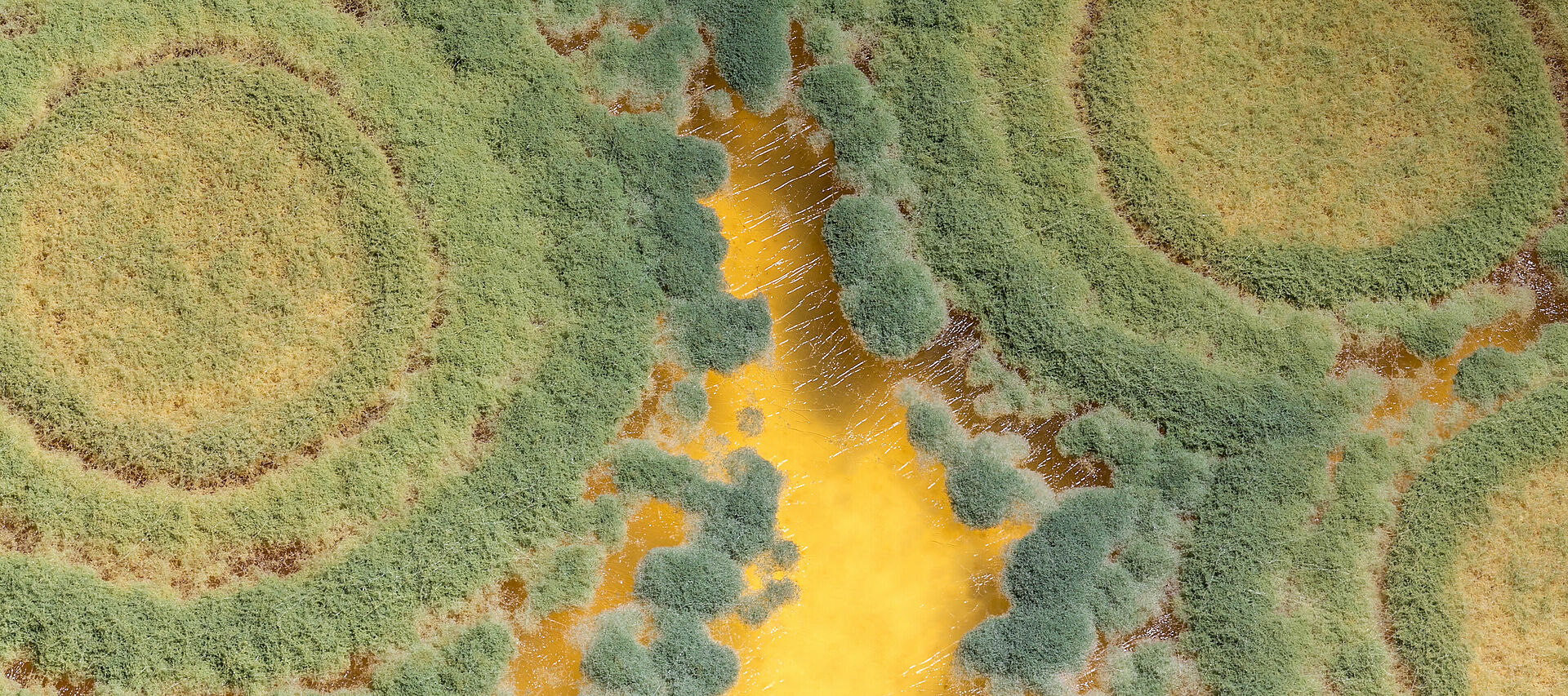 Biological Crop Protection for Agriculture