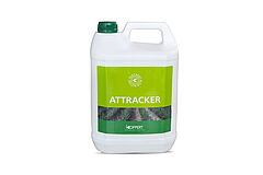 Black tea thrips - Biocontrol, Damage and Life Cycle