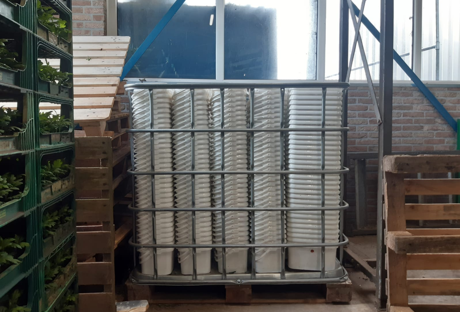 Sustainability drive continues - plastic buckets now recycled ...