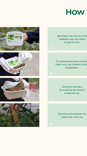 How to use Mirical | Koppert Global