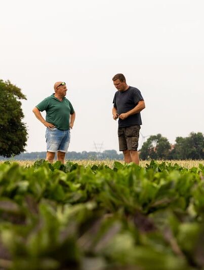 Biological Crop Protection - Overview