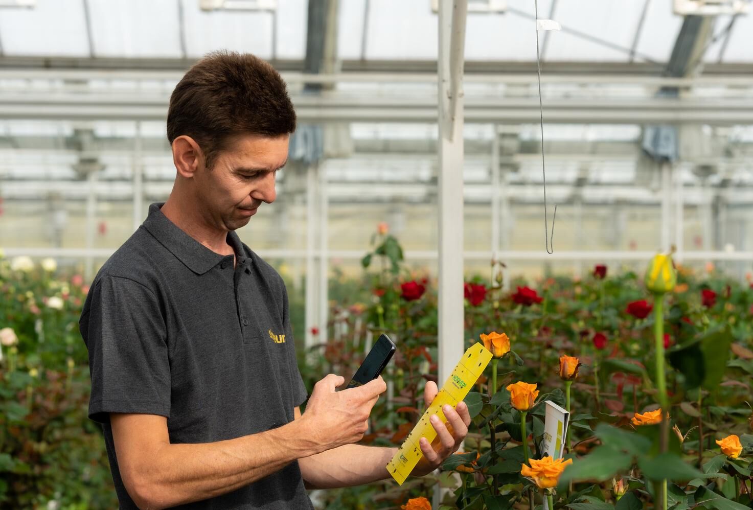 Less Use of Chemical Pesticides due to Natutec Scout App