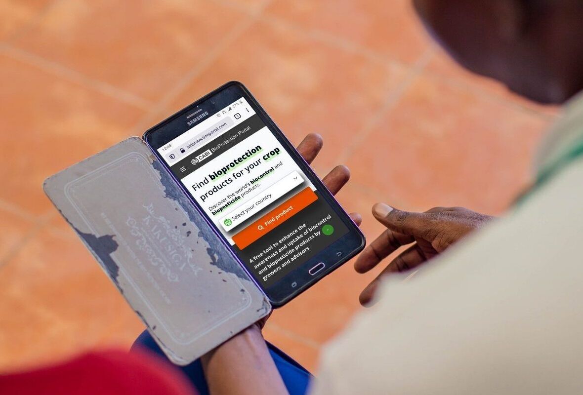 CABI BioProtection Portal launches new website | Koppert Global