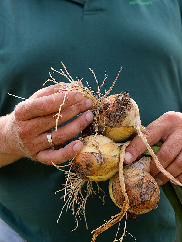 Outdoor Experience Centre | Koppert Global