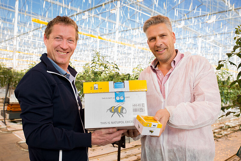 Koppert introduces bumblebee orientation breakthrough in a new range of ...
