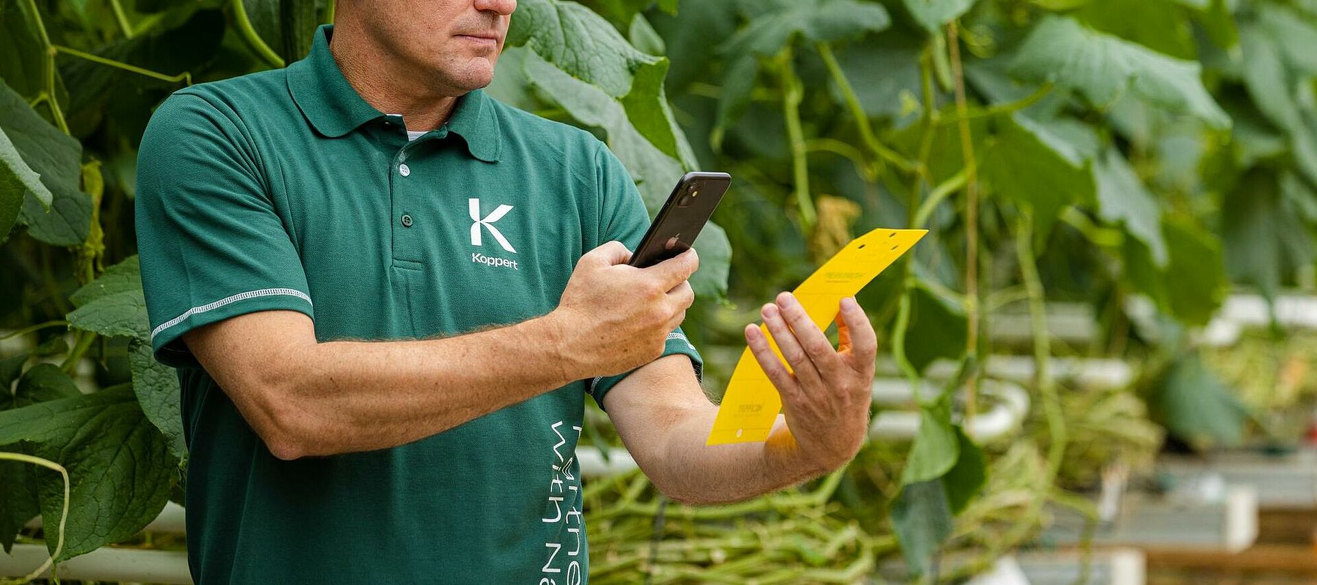 Natutec Scout | Crop Scouting Tool | Data-driven IPM