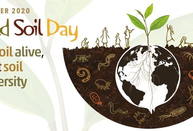 World Soil Day | Koppert Global