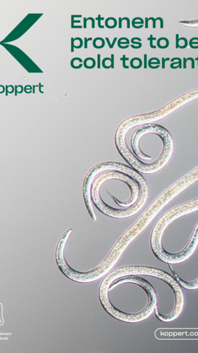 Entonem Research Results Cold Tolerance | Koppert Global