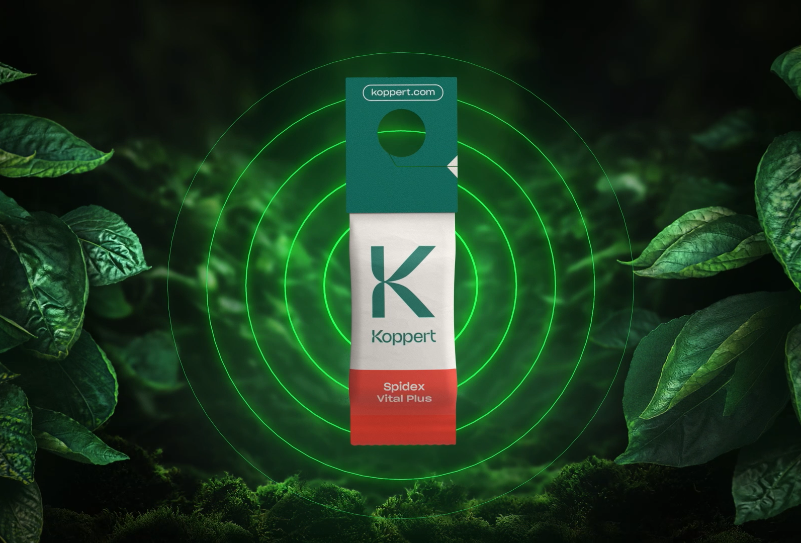 Spidex Vital Plus – Effective spider mite control in a sachet | Koppert ...