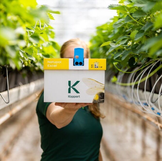 Natupol Excel | Bumblebee Hives | Pollination