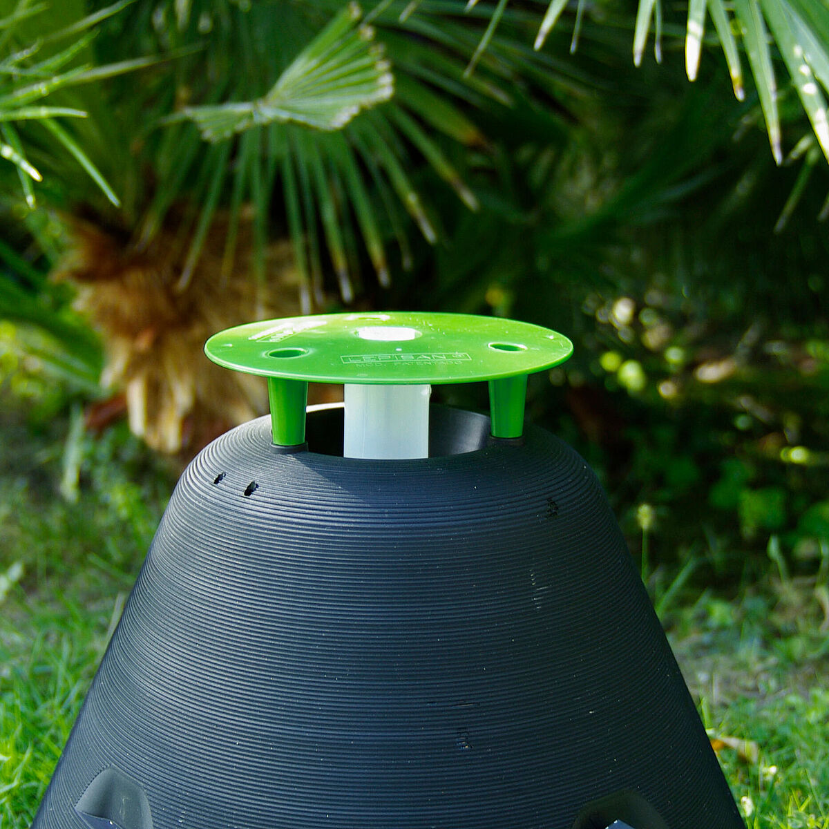 Picusan | Monitor and Trap Red Palm Weevil | Insect Trap