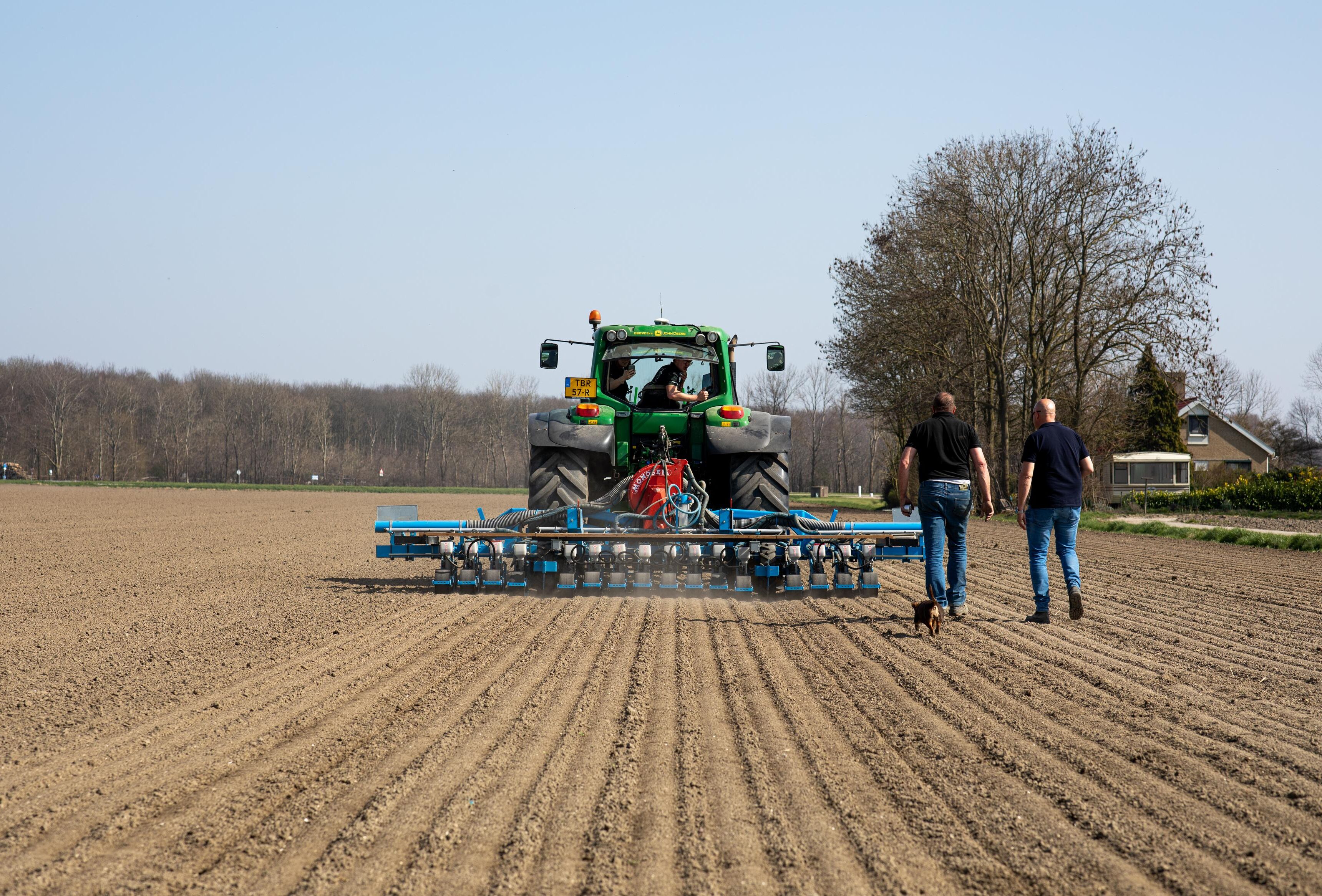 Biocontrol offers ease of application and safety for users | Koppert Global