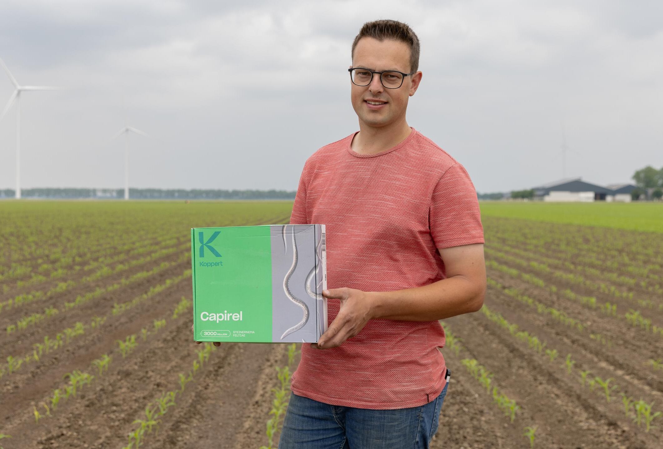 Control Bean Seed Fly with Beneficial Nematodes | Koppert Global