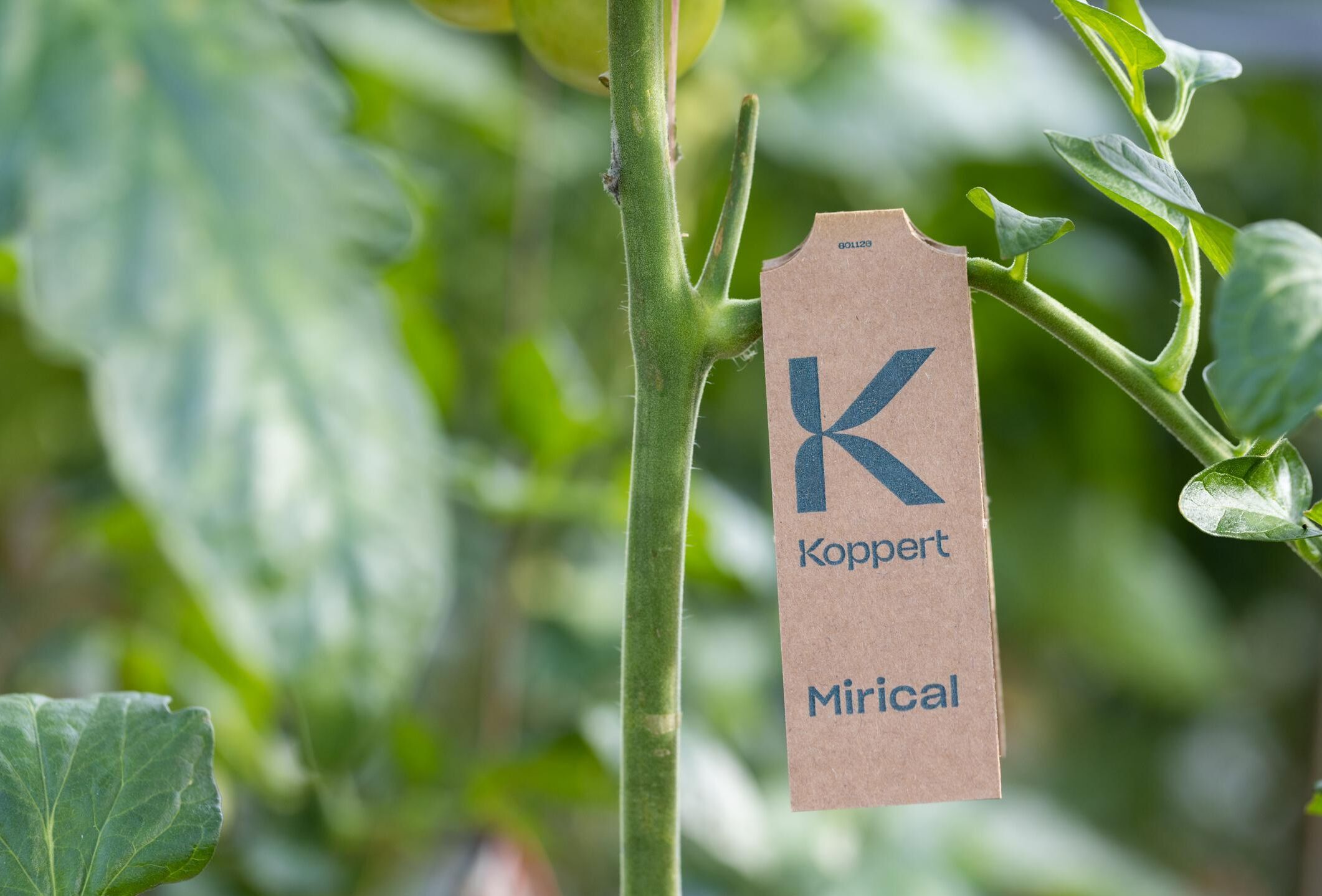 Mirical - Revolutionary packaging simplifies application and maximizes ...