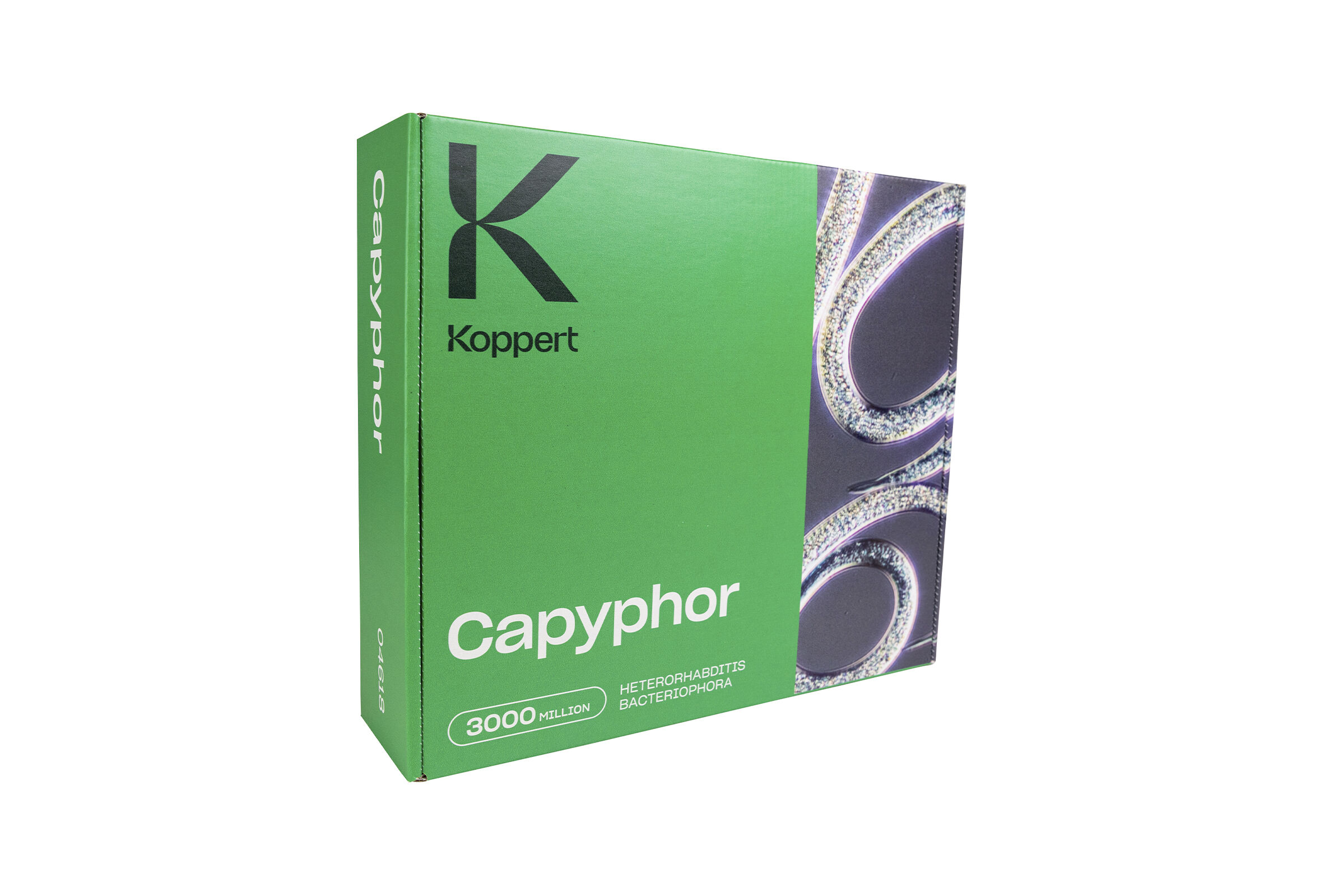 Capyphor | Pest Control | Beneficial Nematodes (Heterorhabditis ...