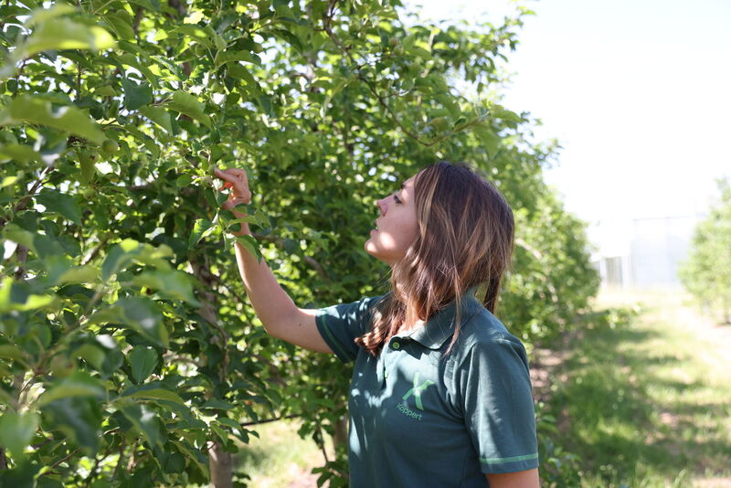 4 key benefits of biological crop protection | Koppert Global
