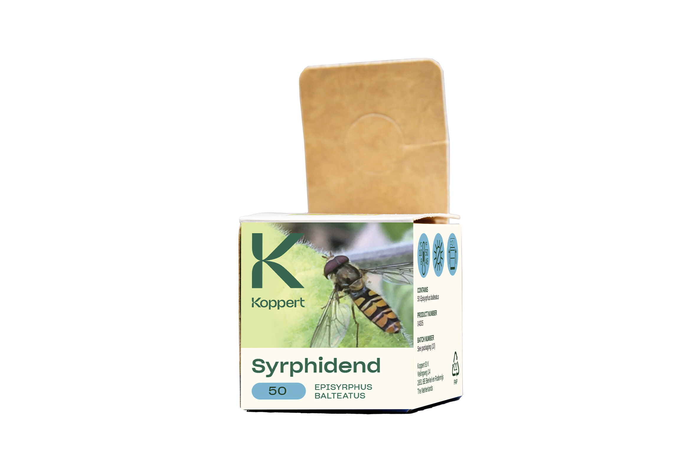 Syrphidend | Control Aphids with Hoverflies