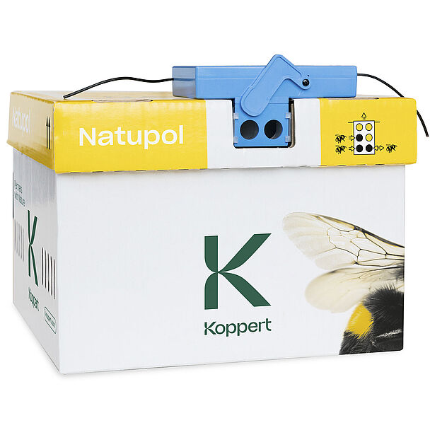 Wireless Beehome | Bumblebee Pollination