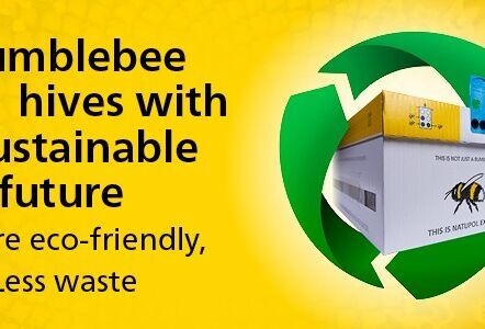 Bumblebee hives with a sustainable future | Koppert Global