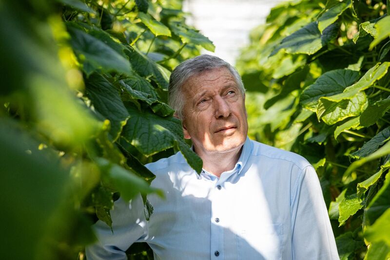 How a little predatory mite laid the foundation for biocontrol today