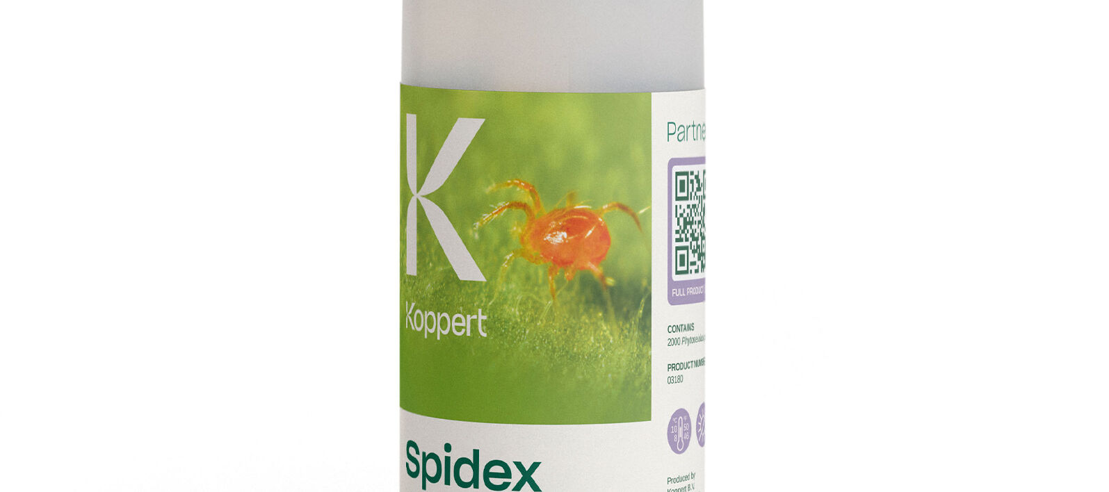 Spider Mite Control: The Essential Guide | Koppert Global