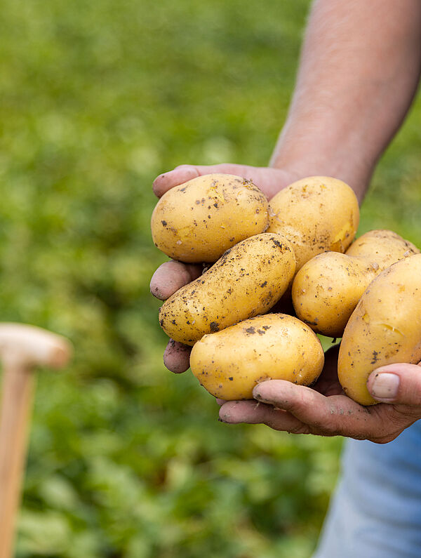 Outdoor Experience Centre | Koppert Global