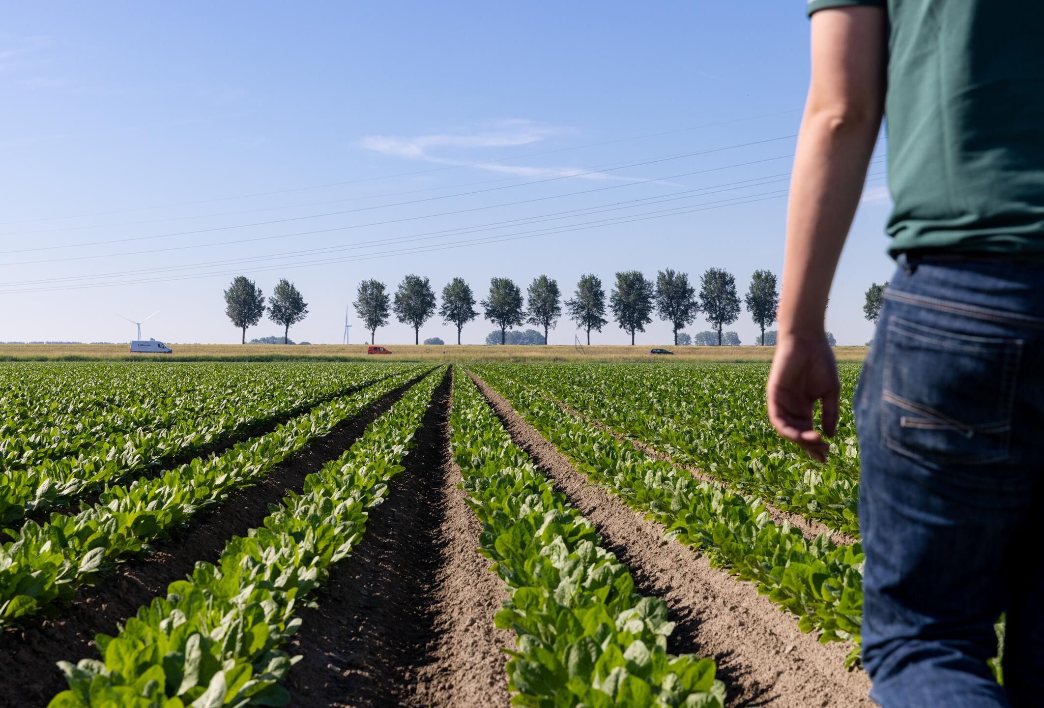 Outdoor Experience Centre | Koppert Global